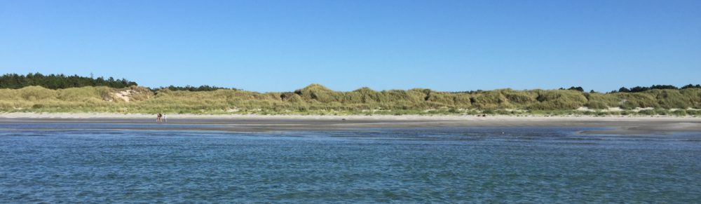 Strandvejen 23 | Livet är dejligt!