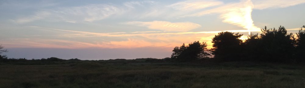 Strandvejen 23 | Livet är dejligt!